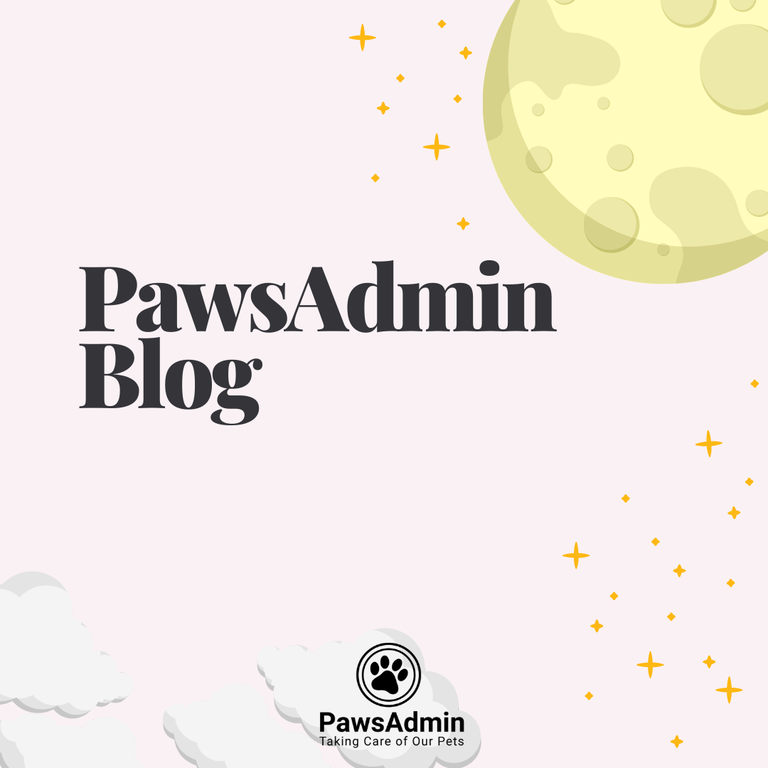 PawsAdmin Blog – Wake up, Hug Pet, Have a Good Day!